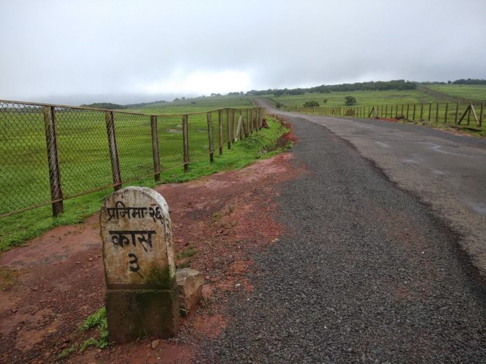 कास पठार | भटकंती | Discover Maharashtra